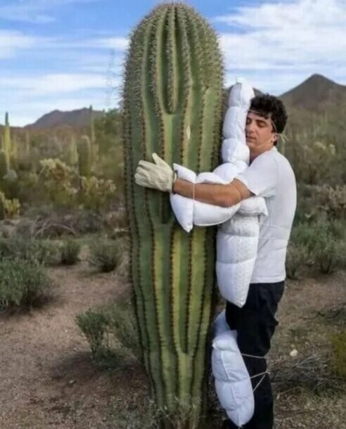 cactus hugger